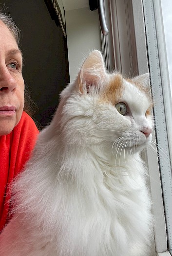 Feline Fashionista Turns Entrepreneur: Jane's The Cat Butler Business ...